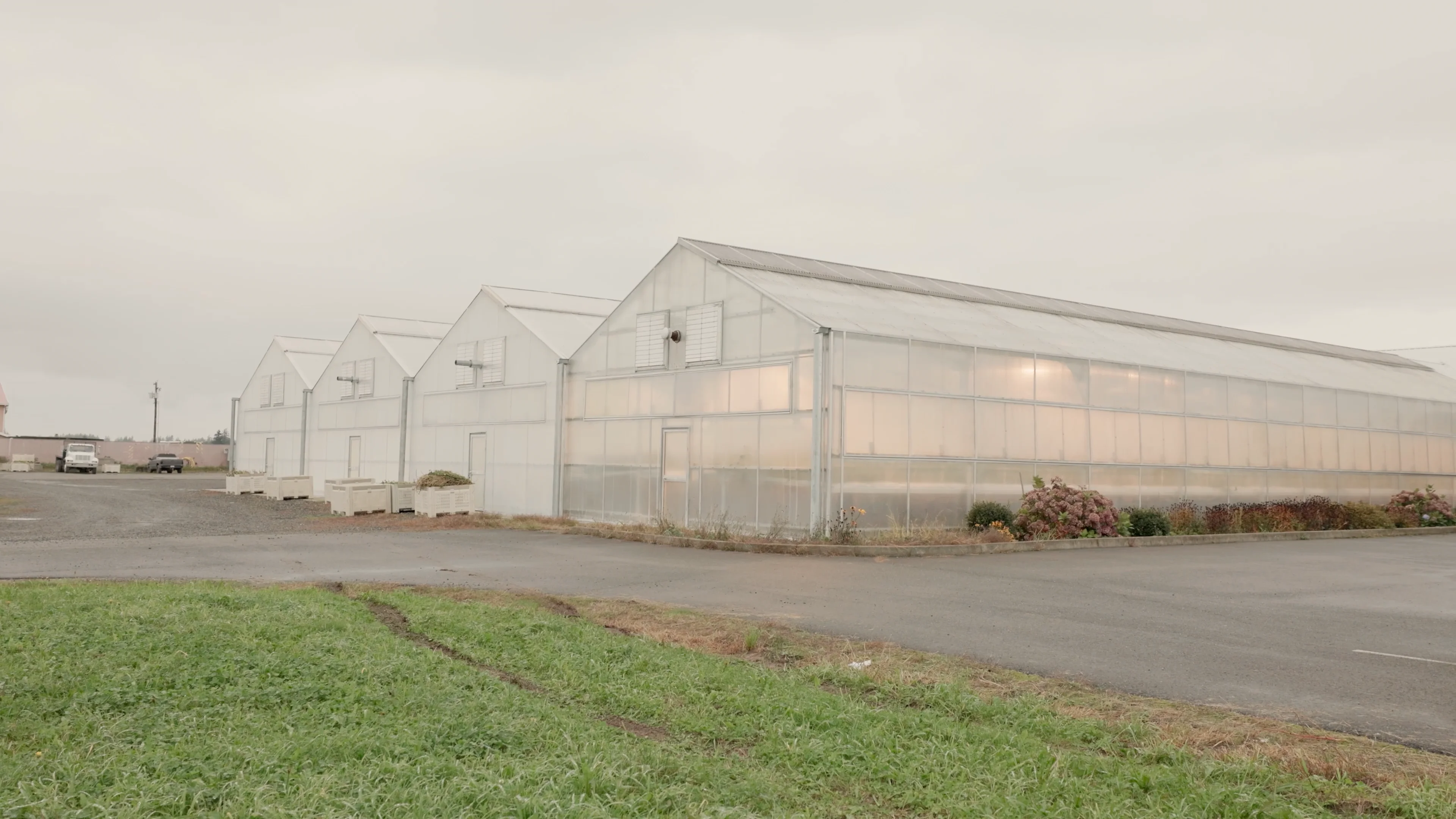 Greg Ebe _ Ebe Farms _ 30 _ 2 Brandy Tucker.mp4