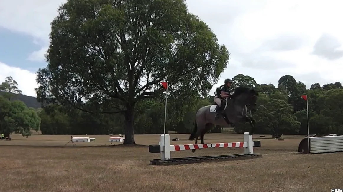 Hayley Pritchard riding Pretty Hill Stardust 72 Grade 5 Seville Pony ...