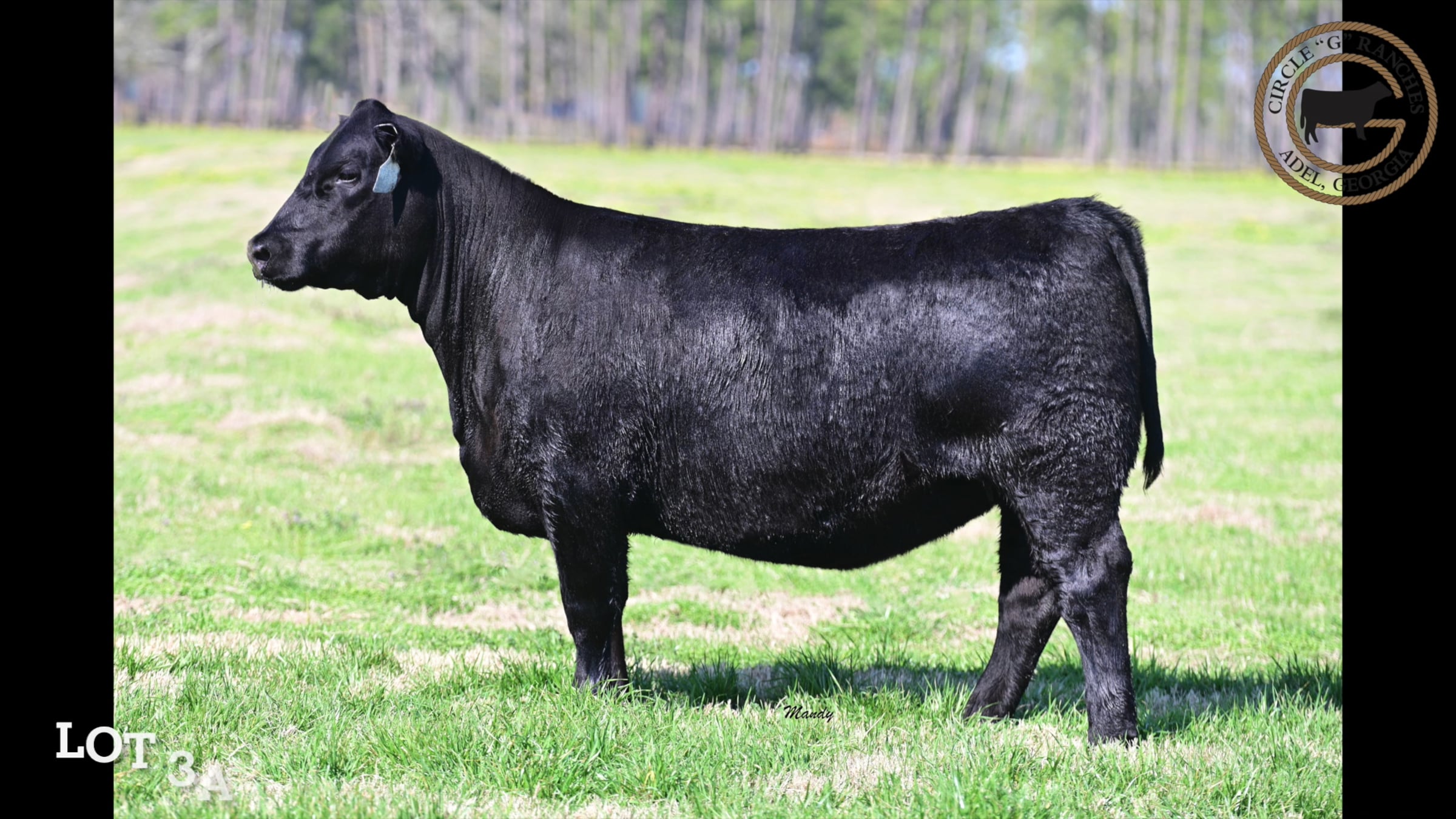 Circle G Lot 3A #4025