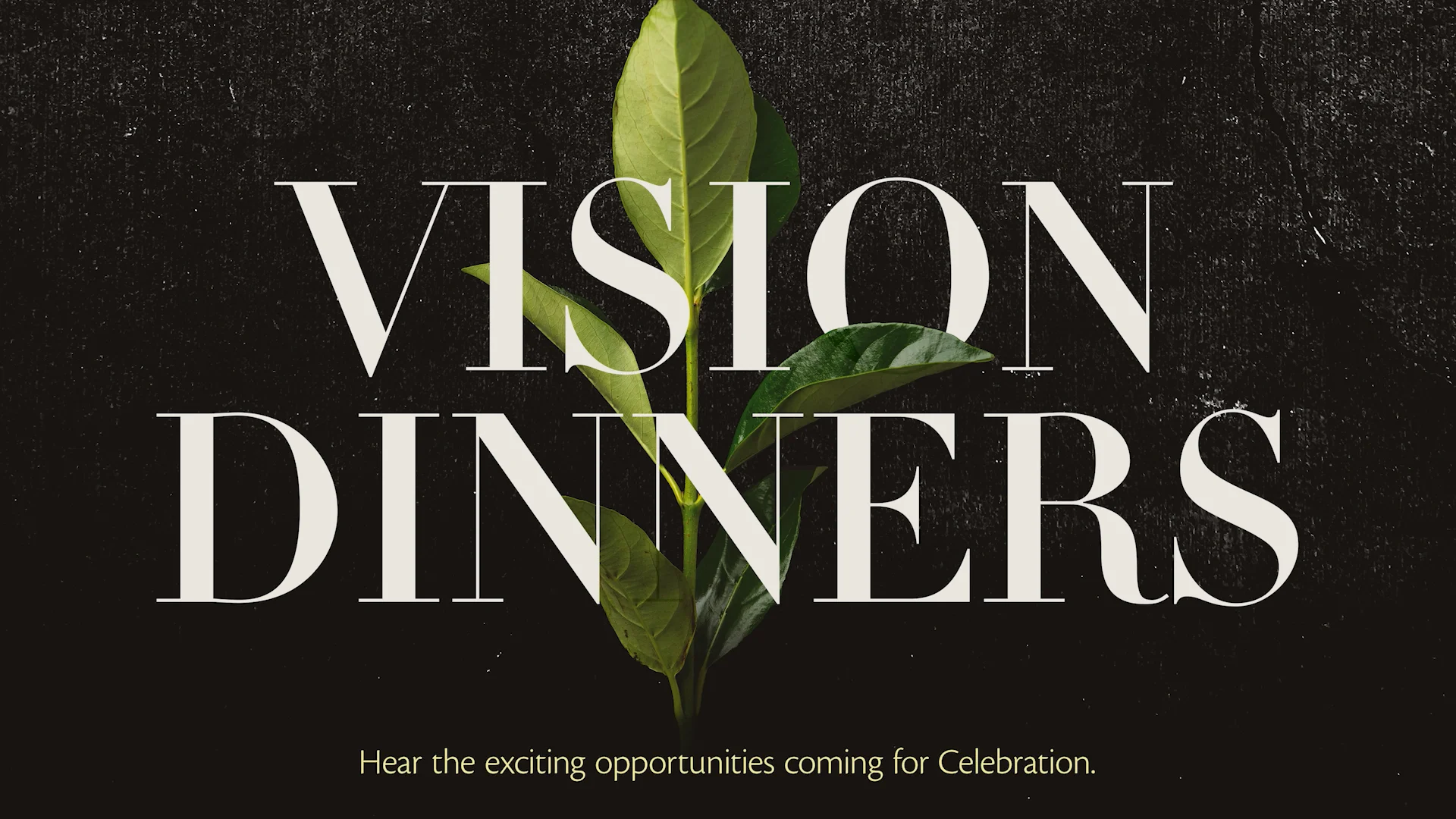 2025 Vision Dinner