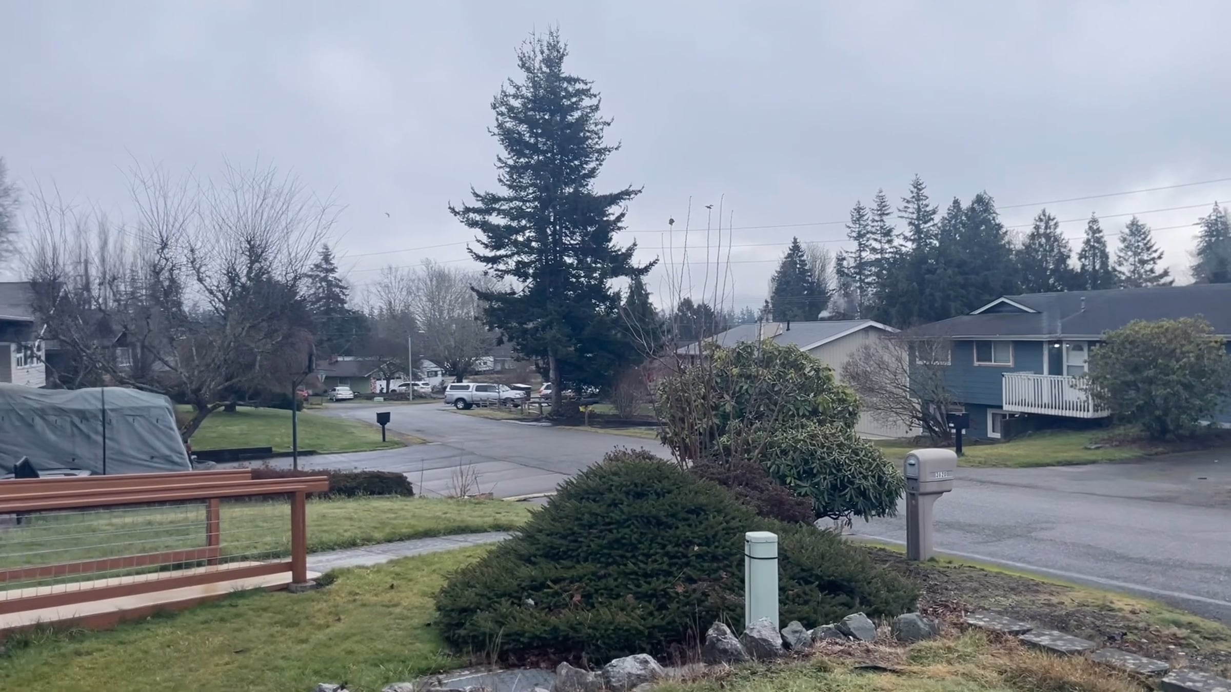 The Scene Where I Live