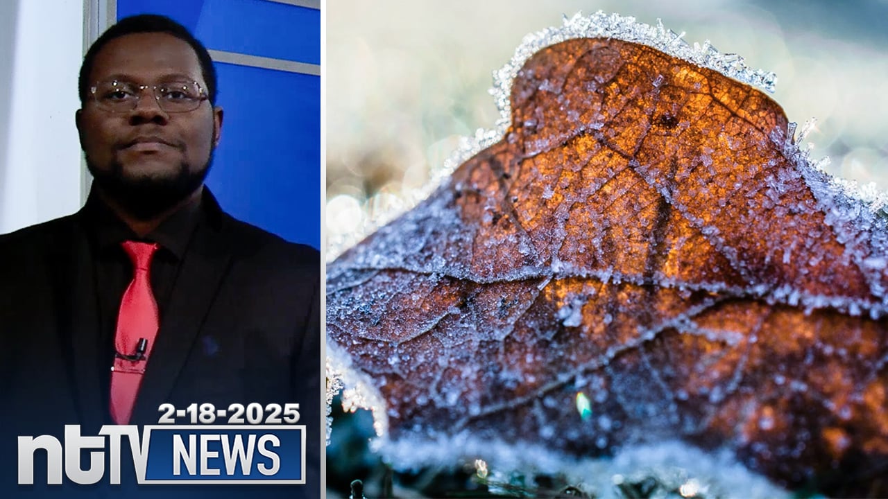 Bracing for a Freeze | ntTV Tuesday Noon News - February 18, 2025