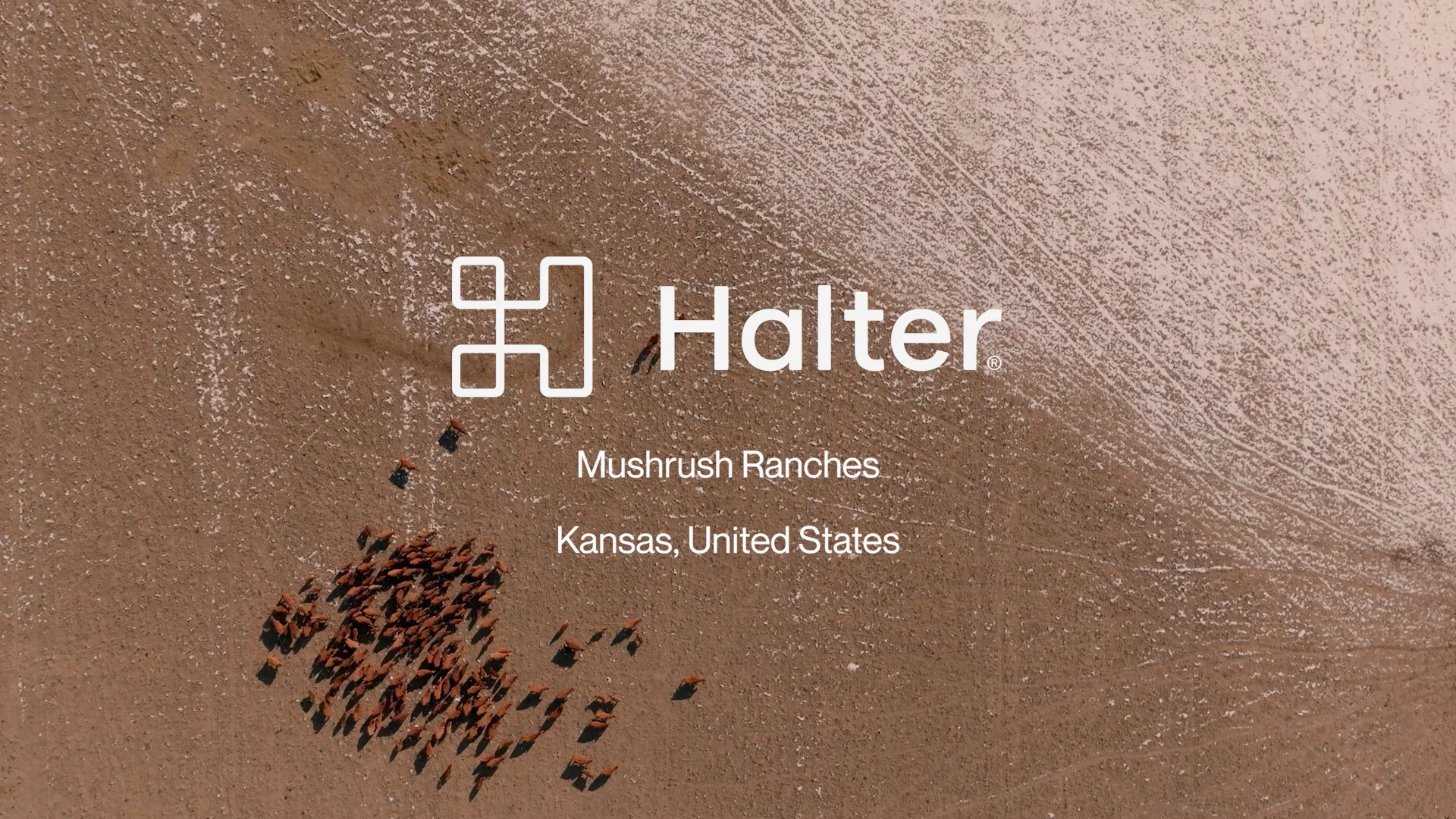 Halter_Long_Jason_V4