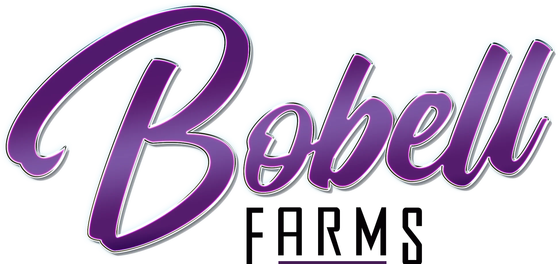 Bobell Farm Sale #2 (March 1, 2025) Pig Preview