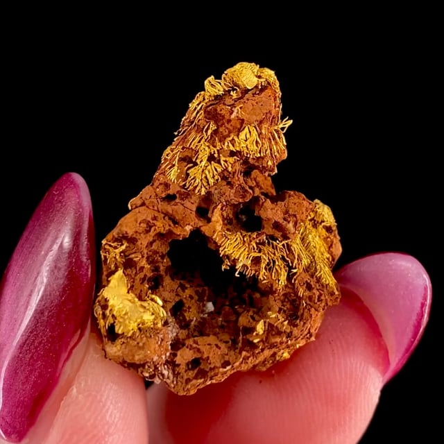 Gold (beautiful WIRES {!} and leaves) on Limonite | Placerville ...
