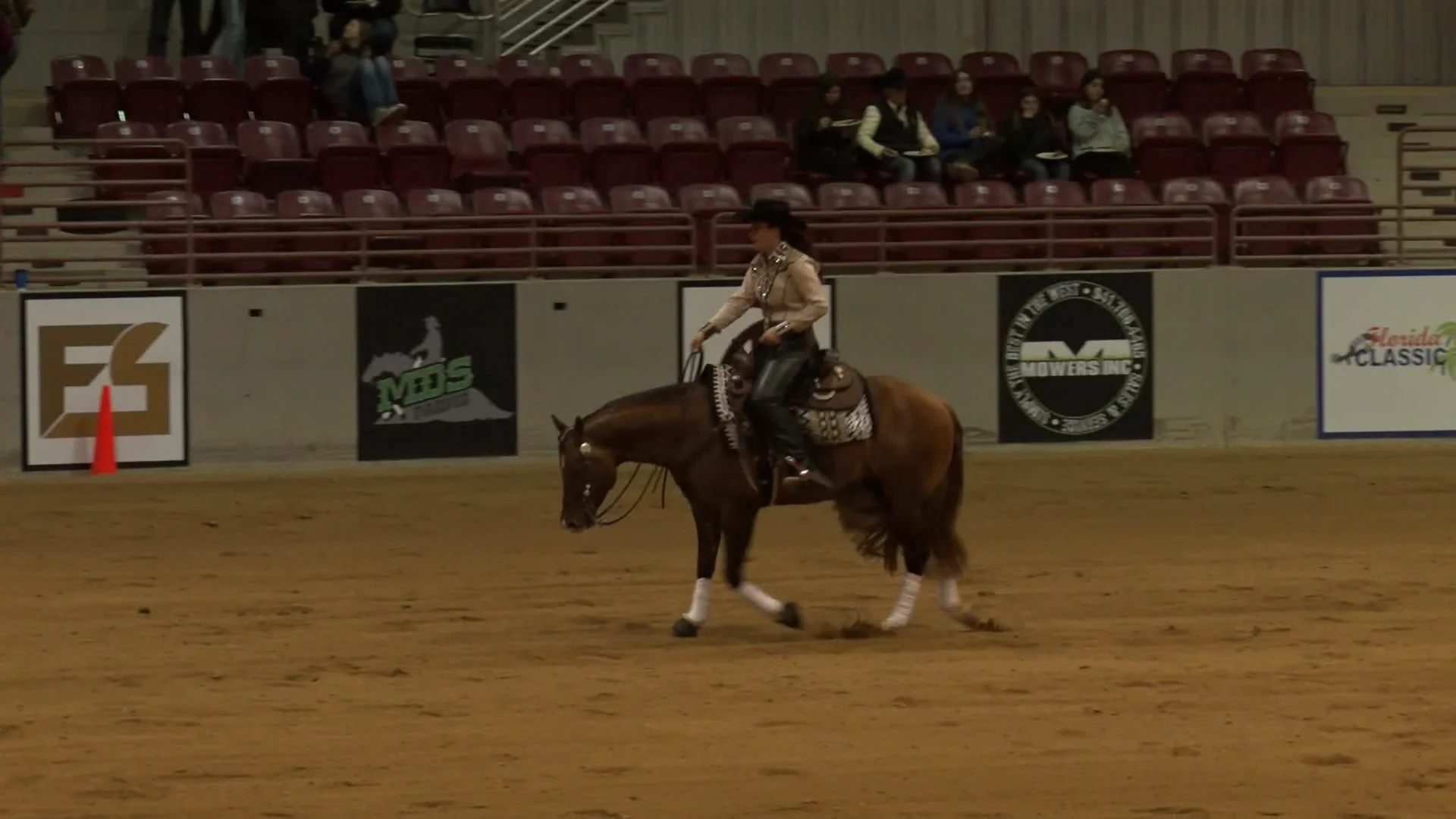 Florida Reining Classic NON PRO DERBY Alea