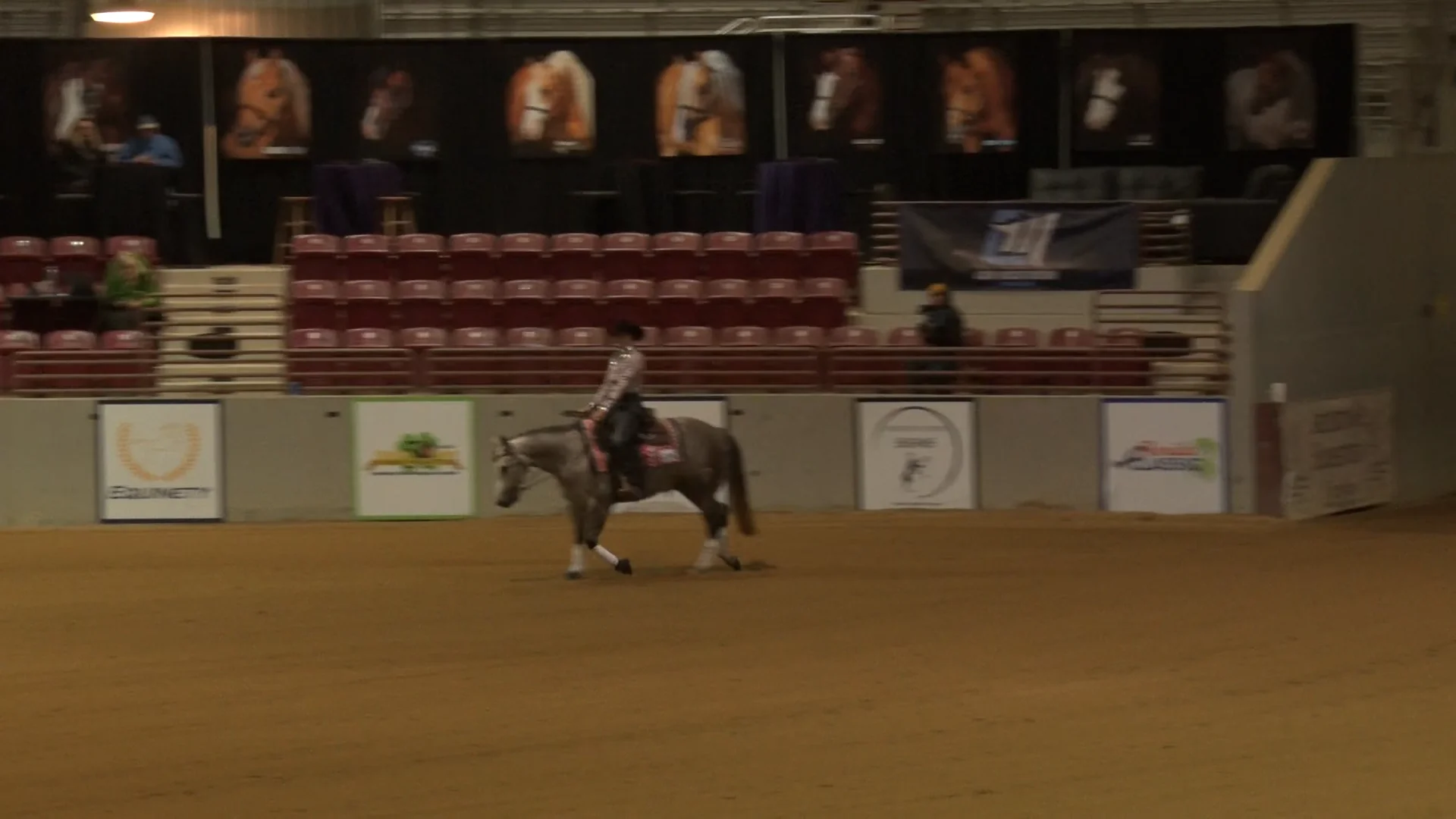 Florida Reining Classic NON PRO DERBY Sherry Wayne And Weird Science