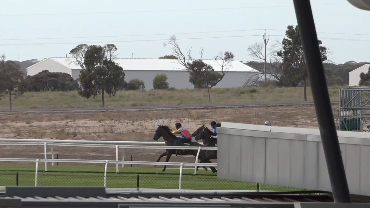 24/02/25 Murray Bridge • Racing SA