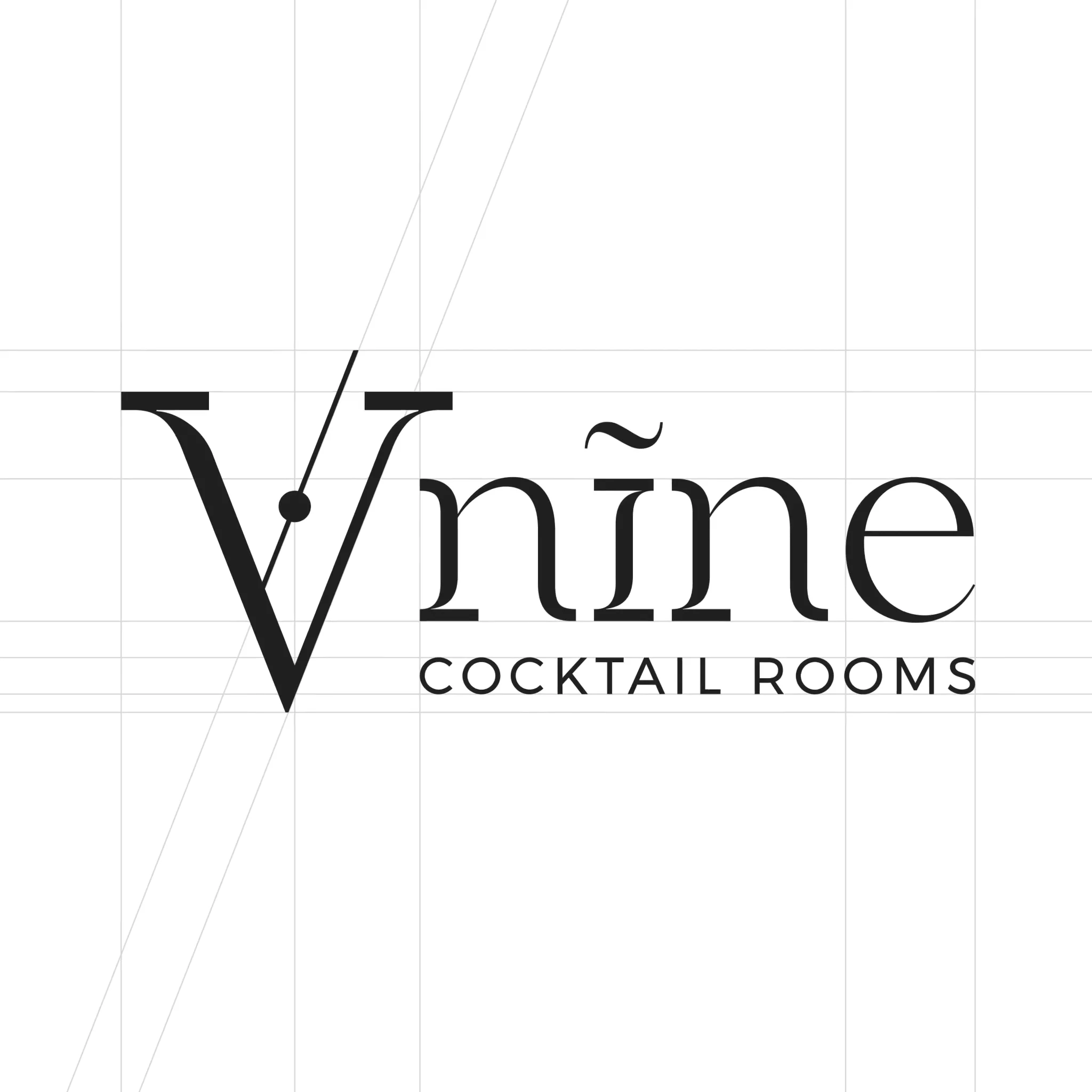 Branding for V-Nine