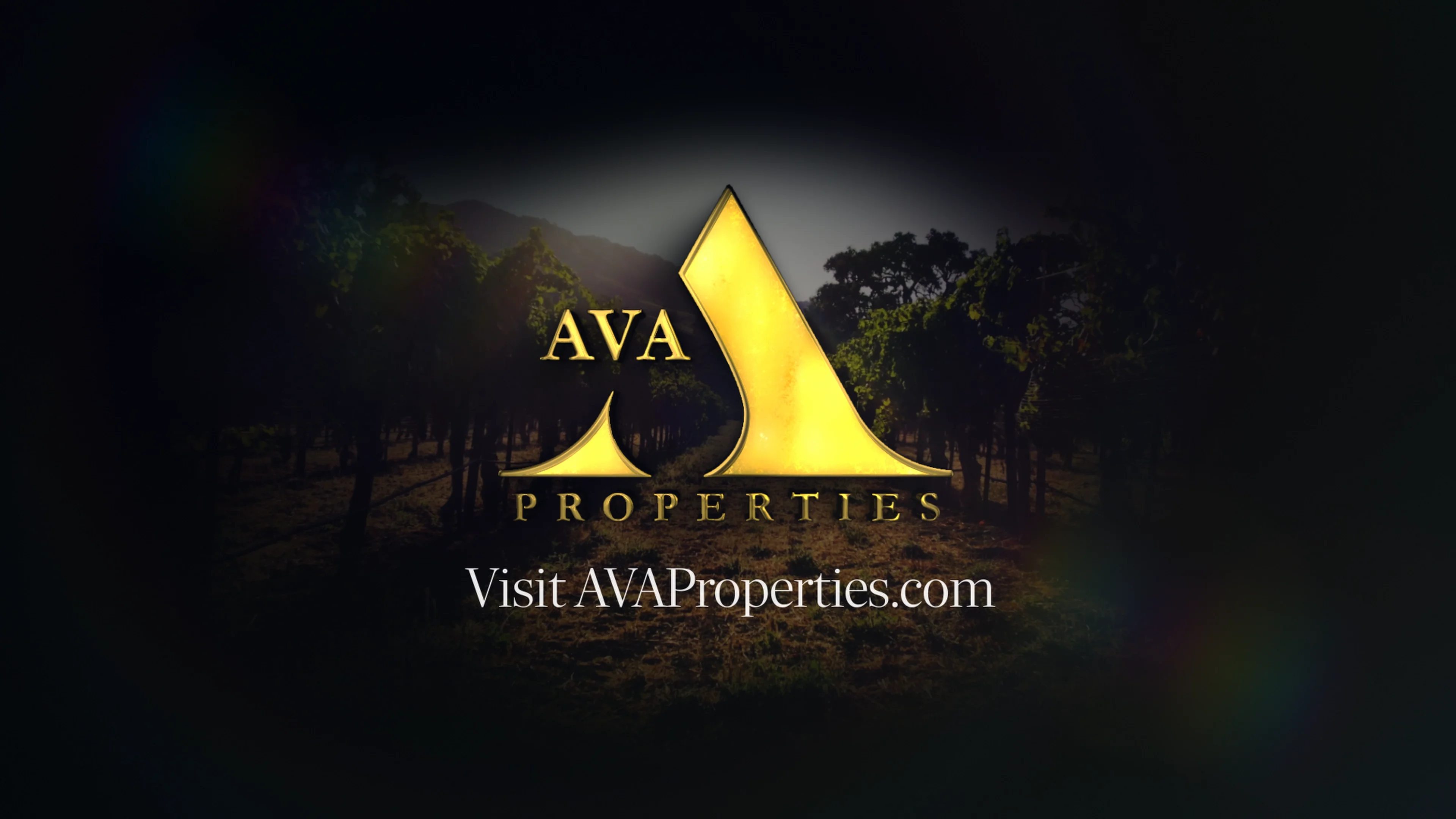 AVA Properties - Calmére Introduction