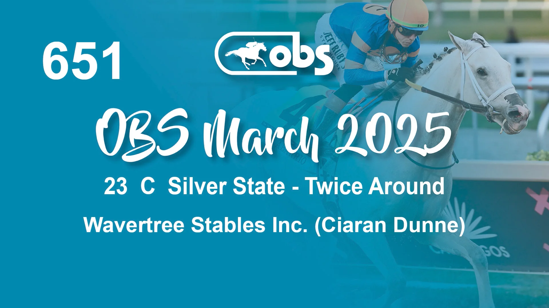 OBSMAR25, Hip 651, c. Silver State - Twice Around 23