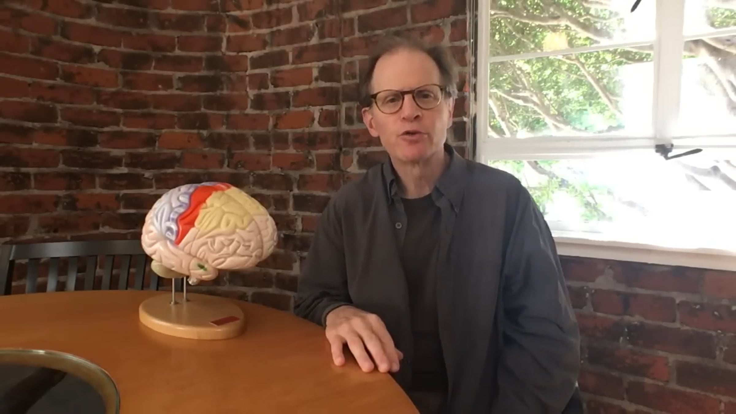 Dr. Dan Siegel's Hand Model of the Brain