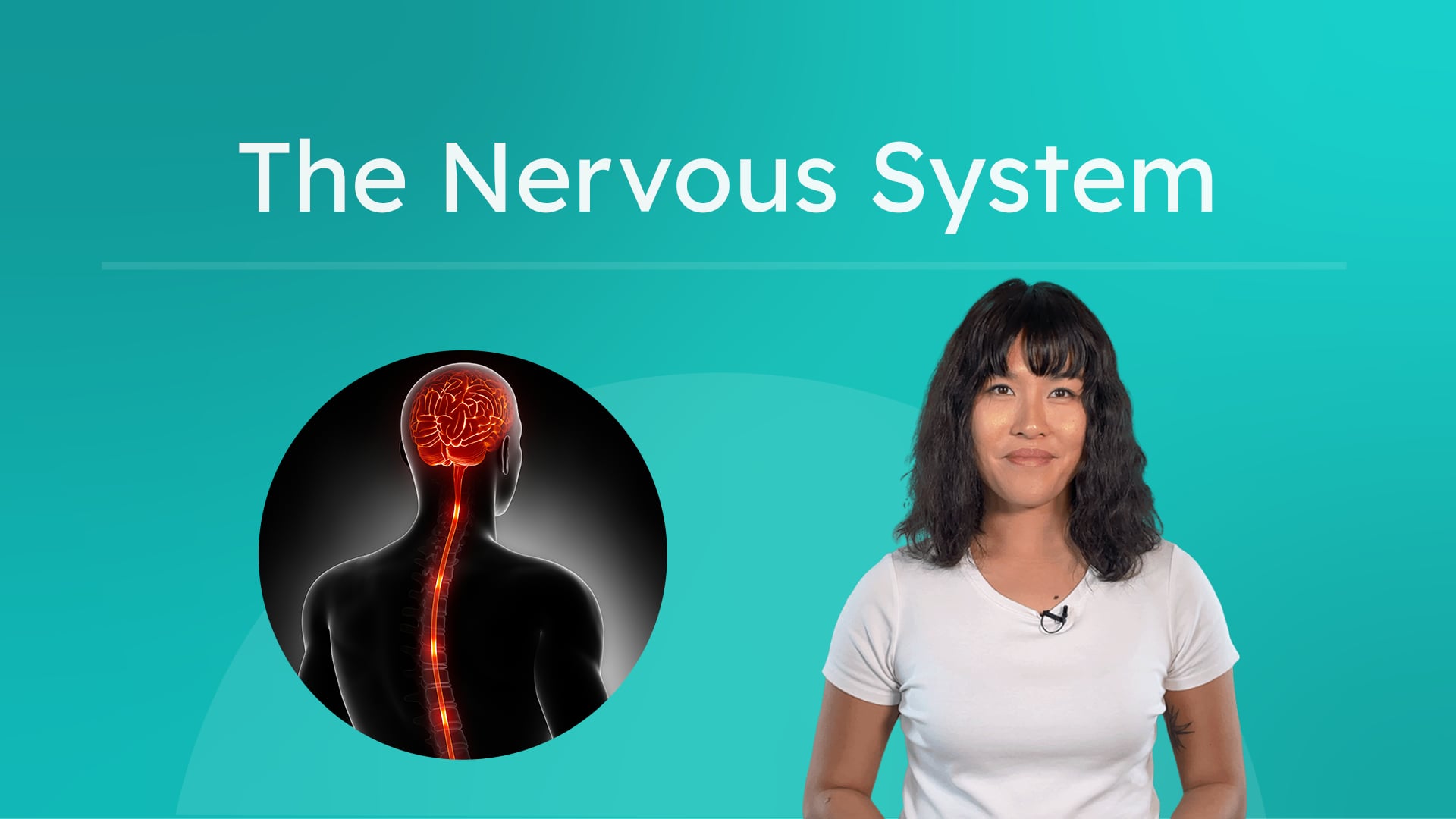 The Nervous System