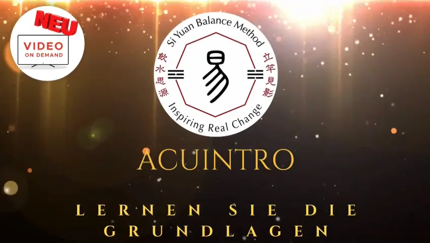Watch AcuIntro: Einführungsvideo zur Si Yuan Balance-Methode Online ...