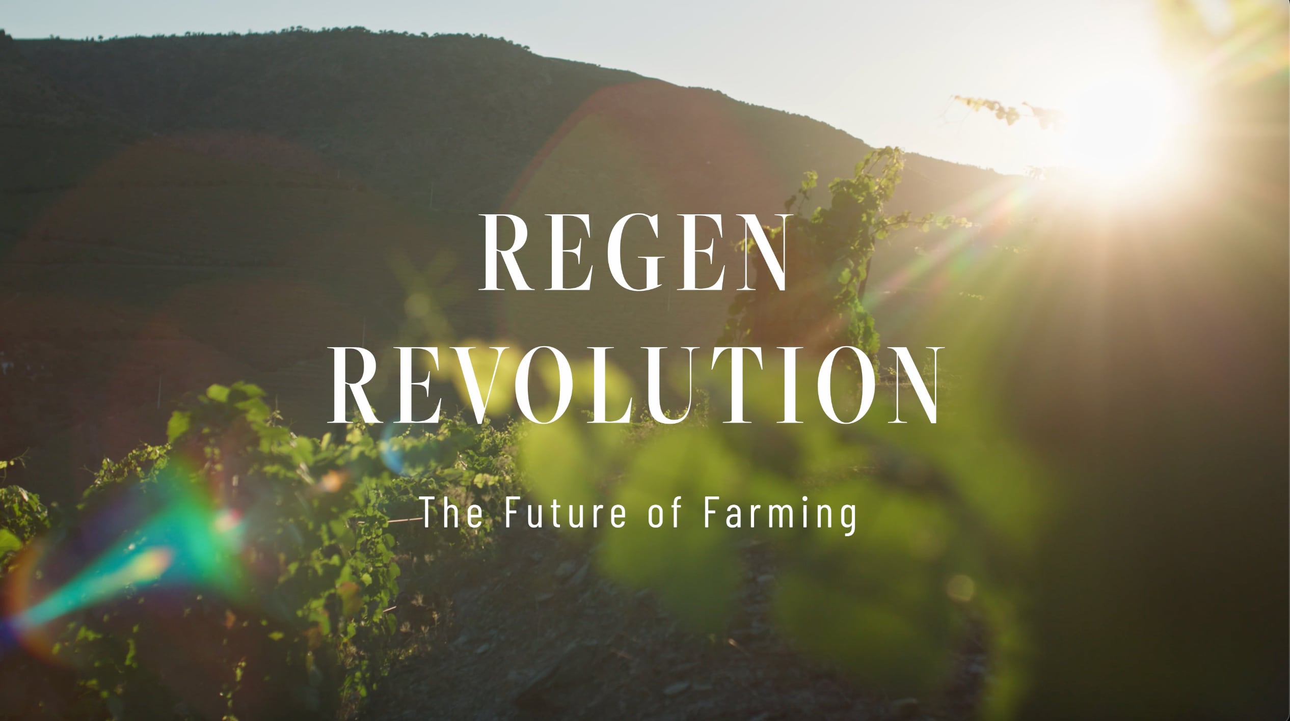 Regen Revolution Film | Videos & Movies on Vimeo