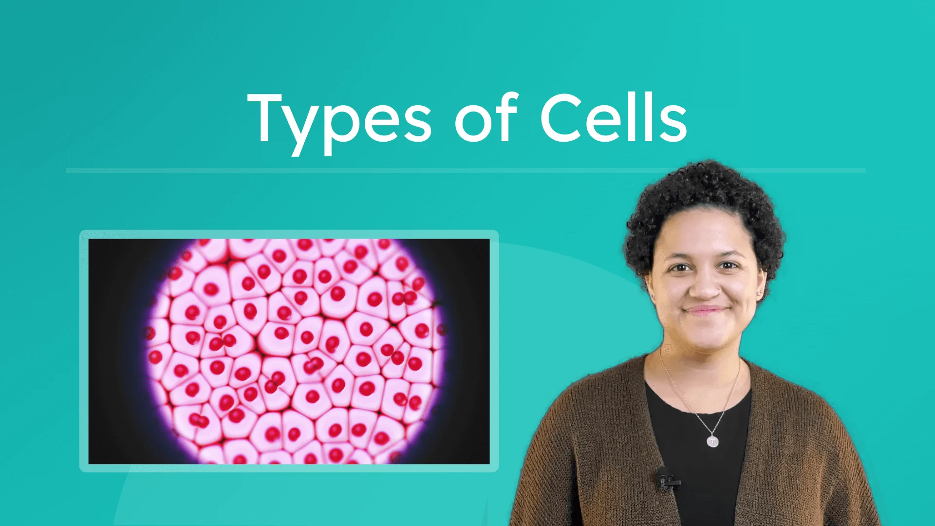Types of Cells