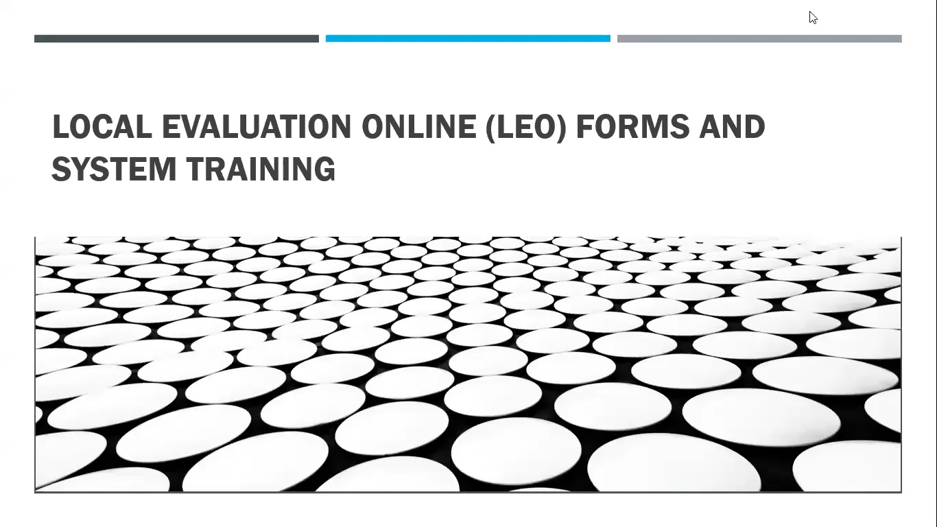 2025 Annual LEO Forms and System Training