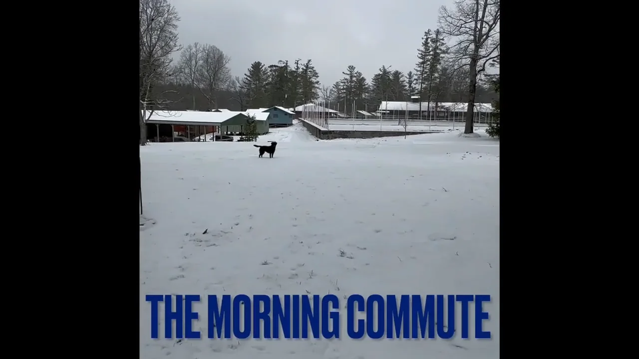 Morning Commute - February 20, 2025