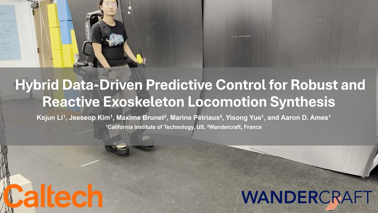 Hybrid Data-driven Predictive Control for Robust and Reactive Exoskeleton Locomotion Synthesis