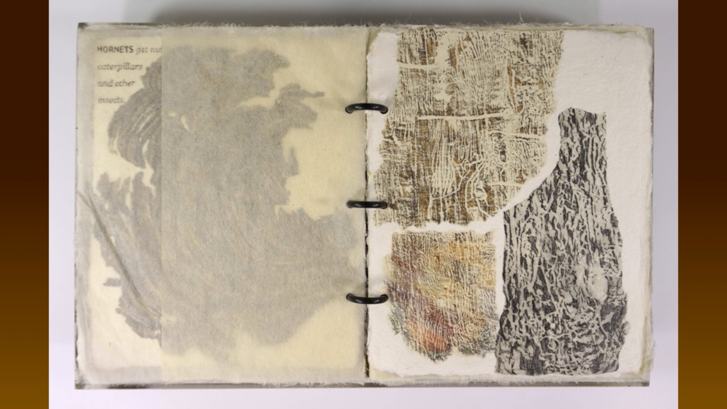 Bark Beetle Book Vol. XLII: Chewing Wood