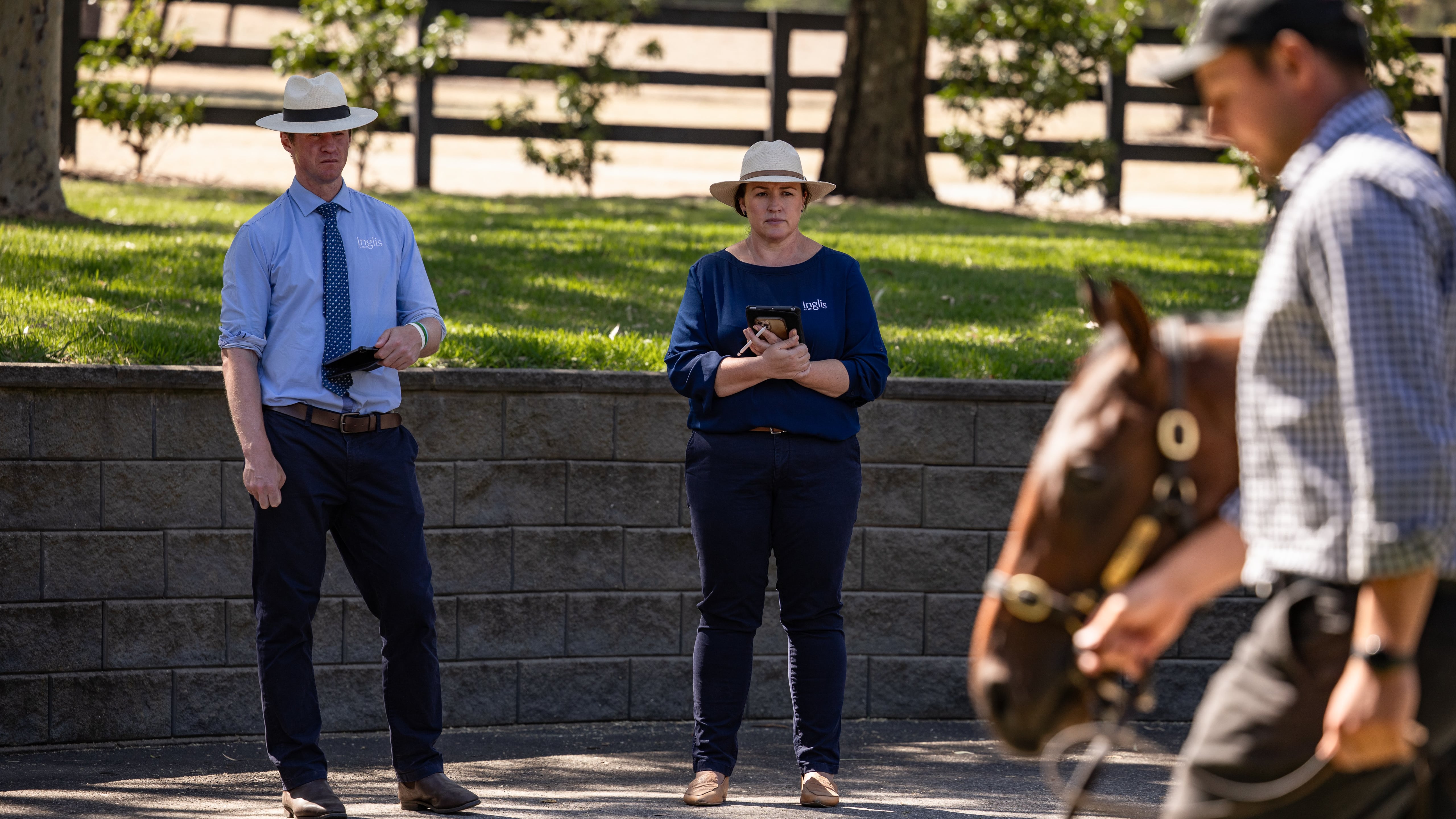 Inglis TV - Sale Day Live Trivia - Day 2: 2025 Inglis Premier Yearling ...