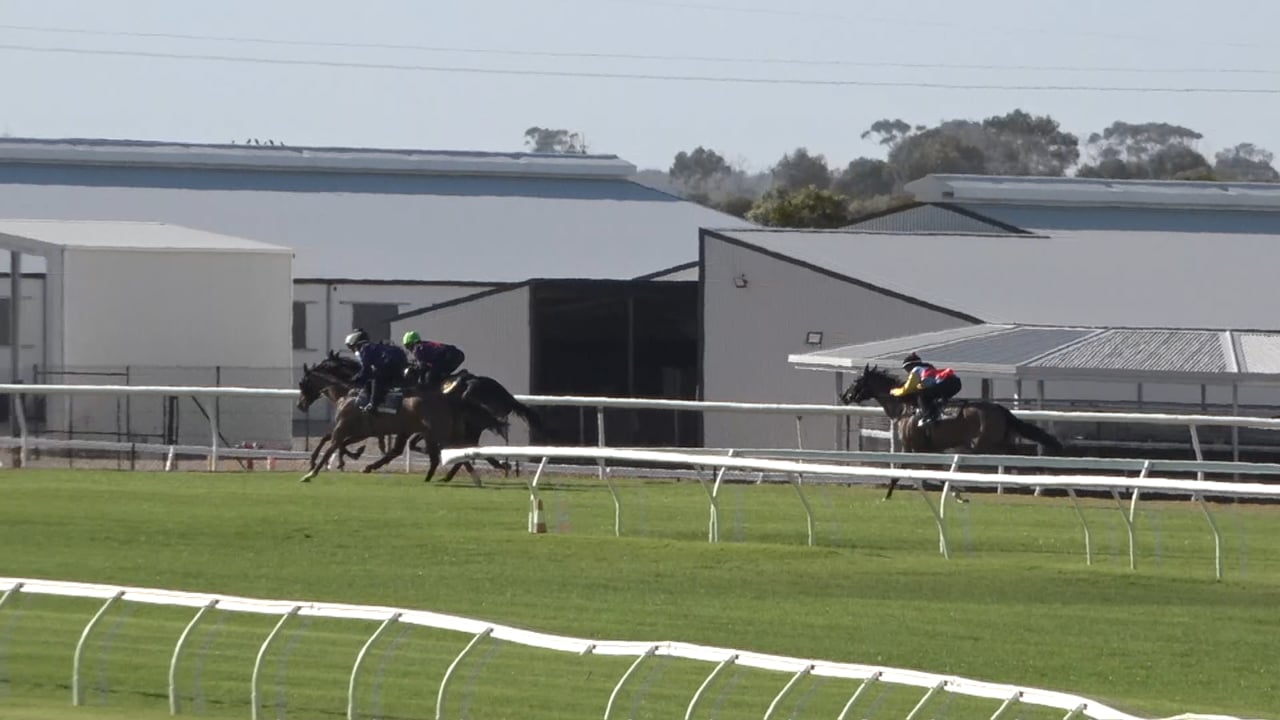 03/03/25 Murray Bridge • Racing SA