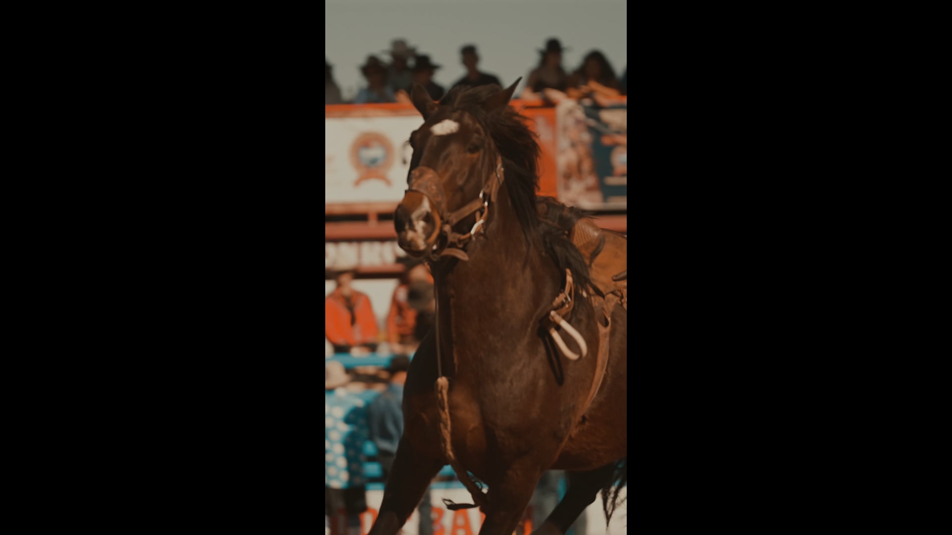 Beutler & Son Rodeo Co.