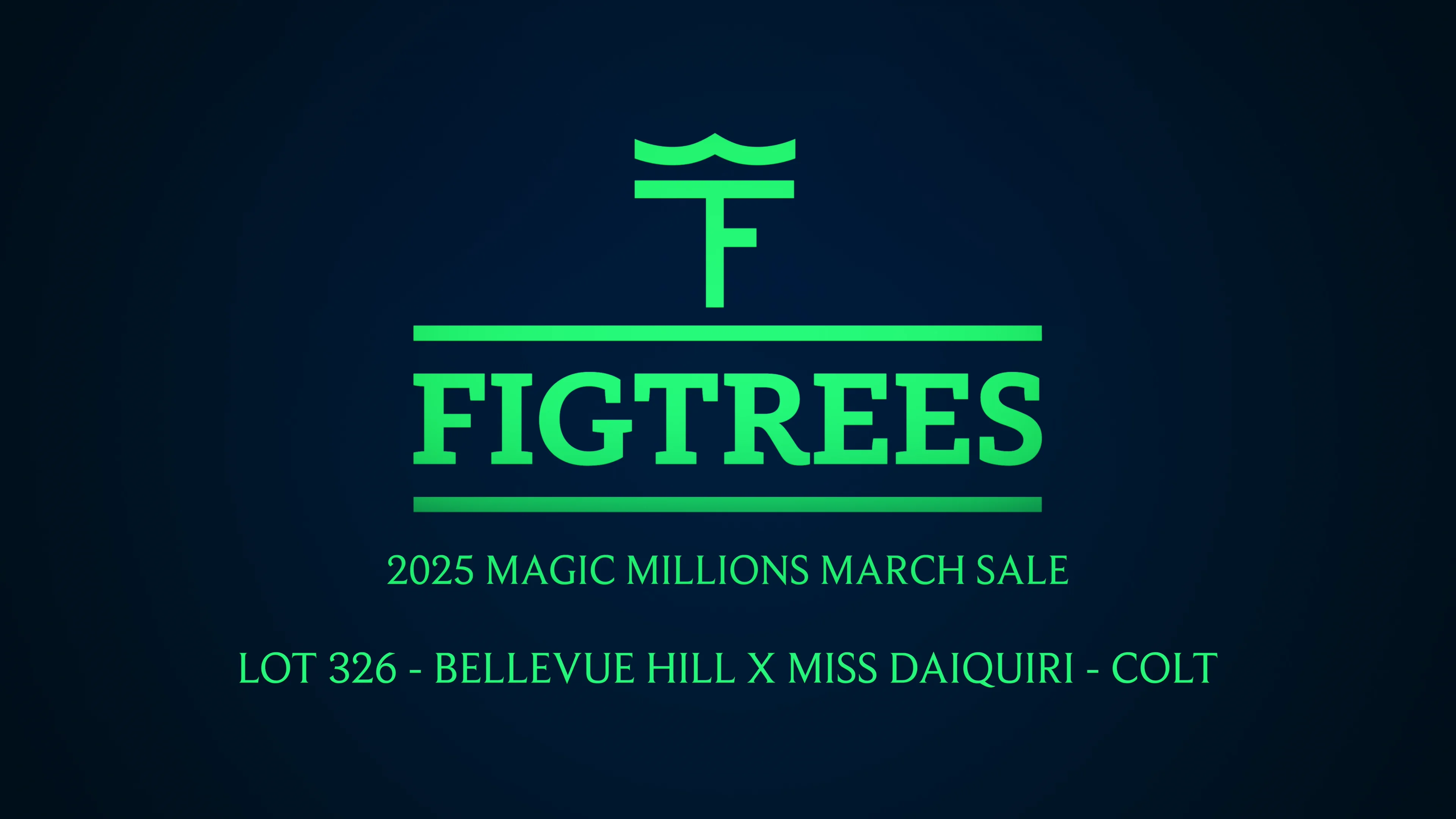 LOT 326 - BELLEVUE HILL X MISS DAIQUIRI - COLT