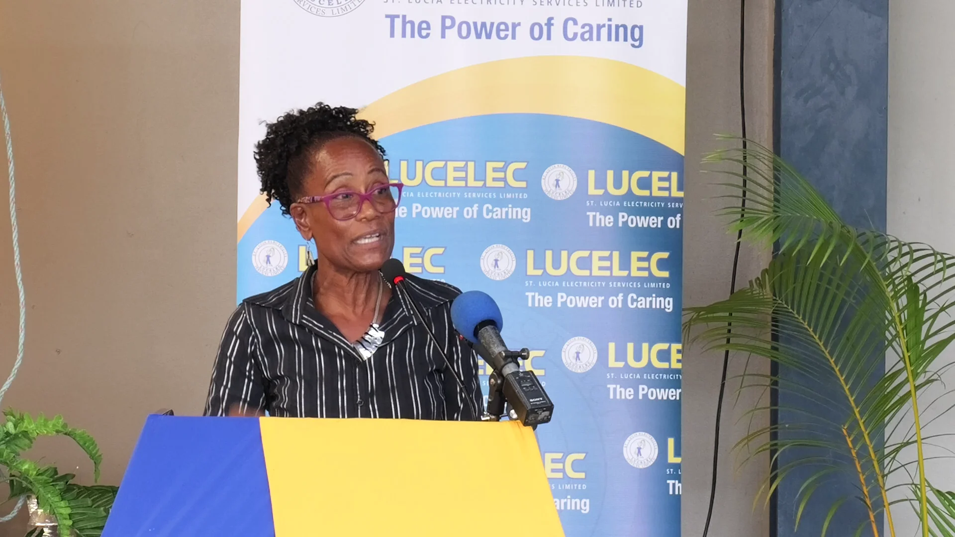 Opening Ceremony LUCELEC Health & Safety Month 2025