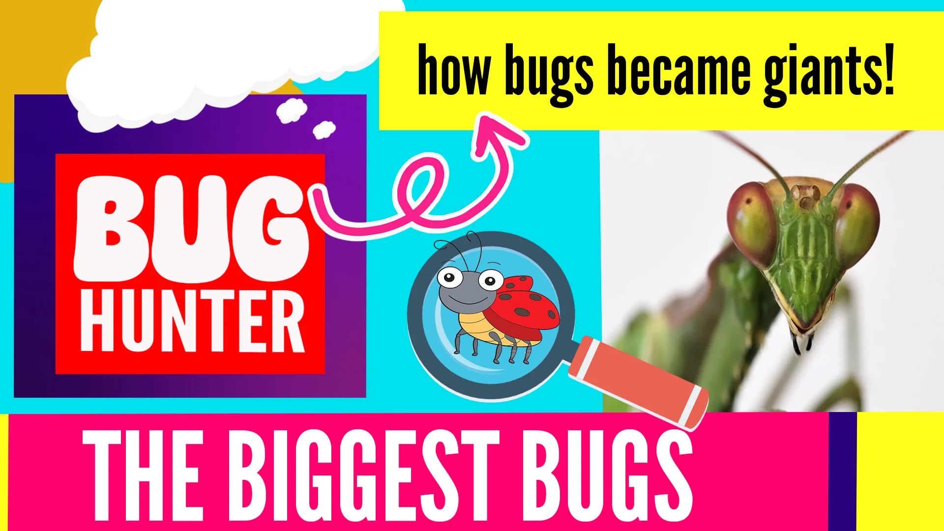 Bug Hunter Clip From The Biggest Bugs KB9258