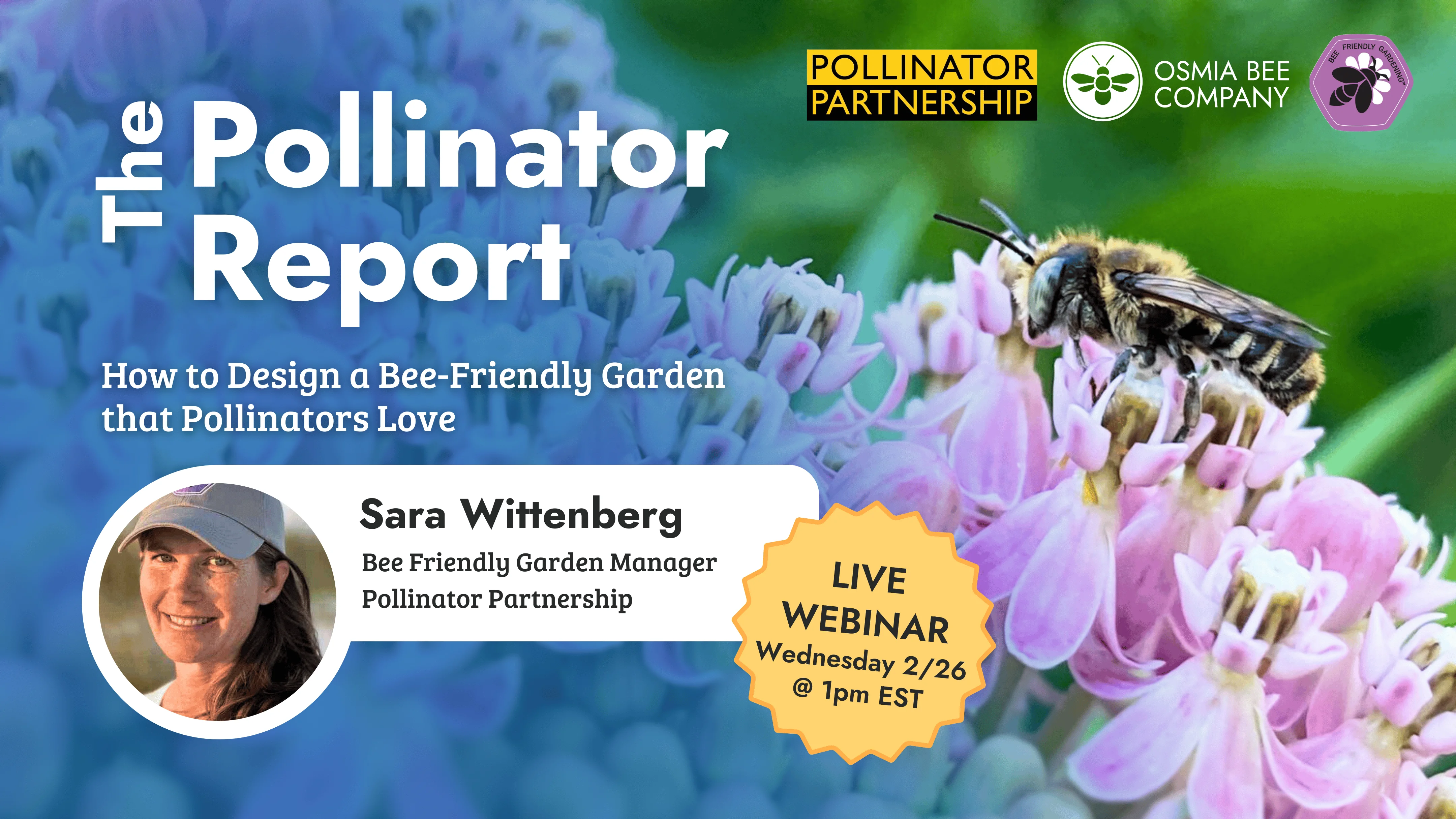 The Pollinator Report: How To Design a Bee-Friendly Garden that Pollinators Love