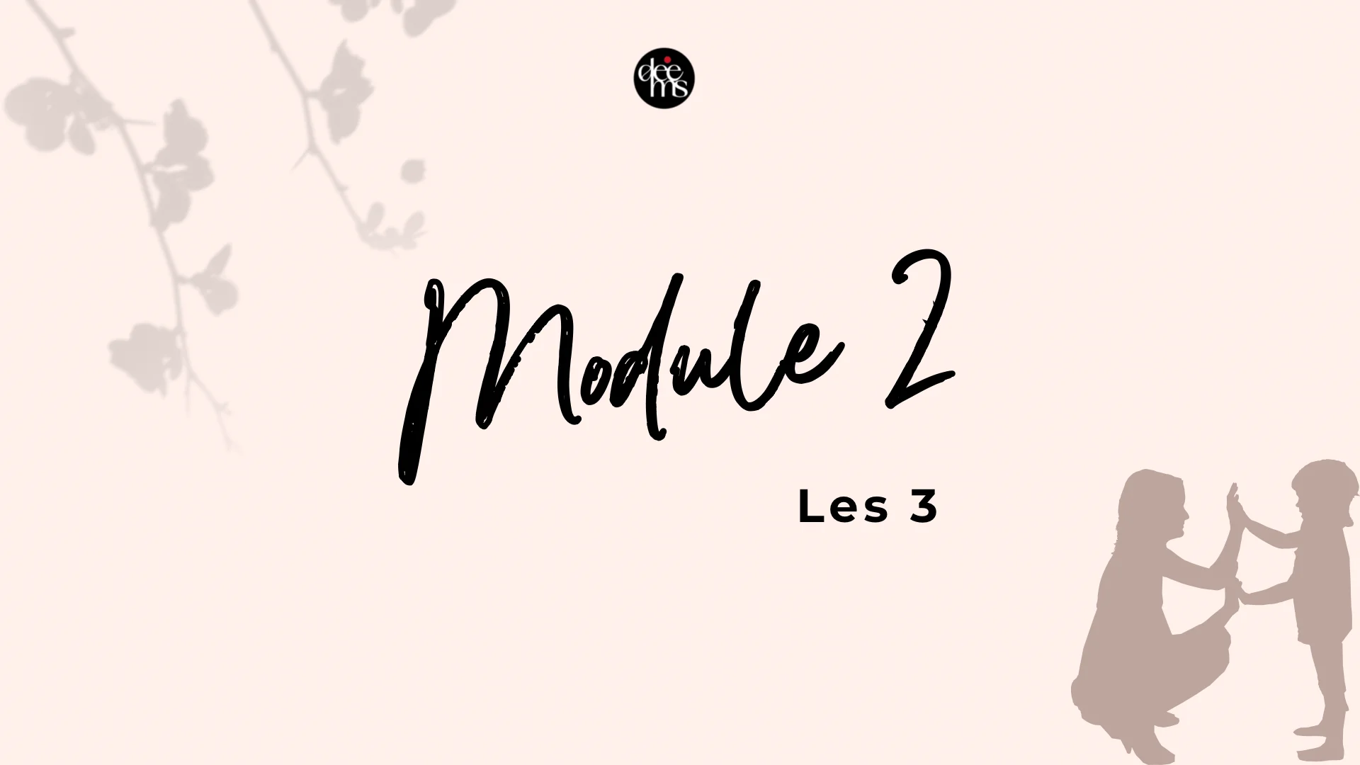 Module 2: Les 3- Emotionele waarde