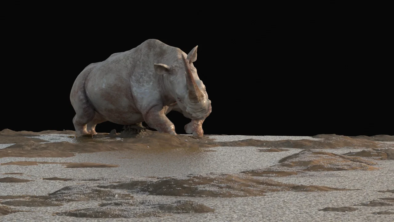Rhino mud simulation with MPM Houdini