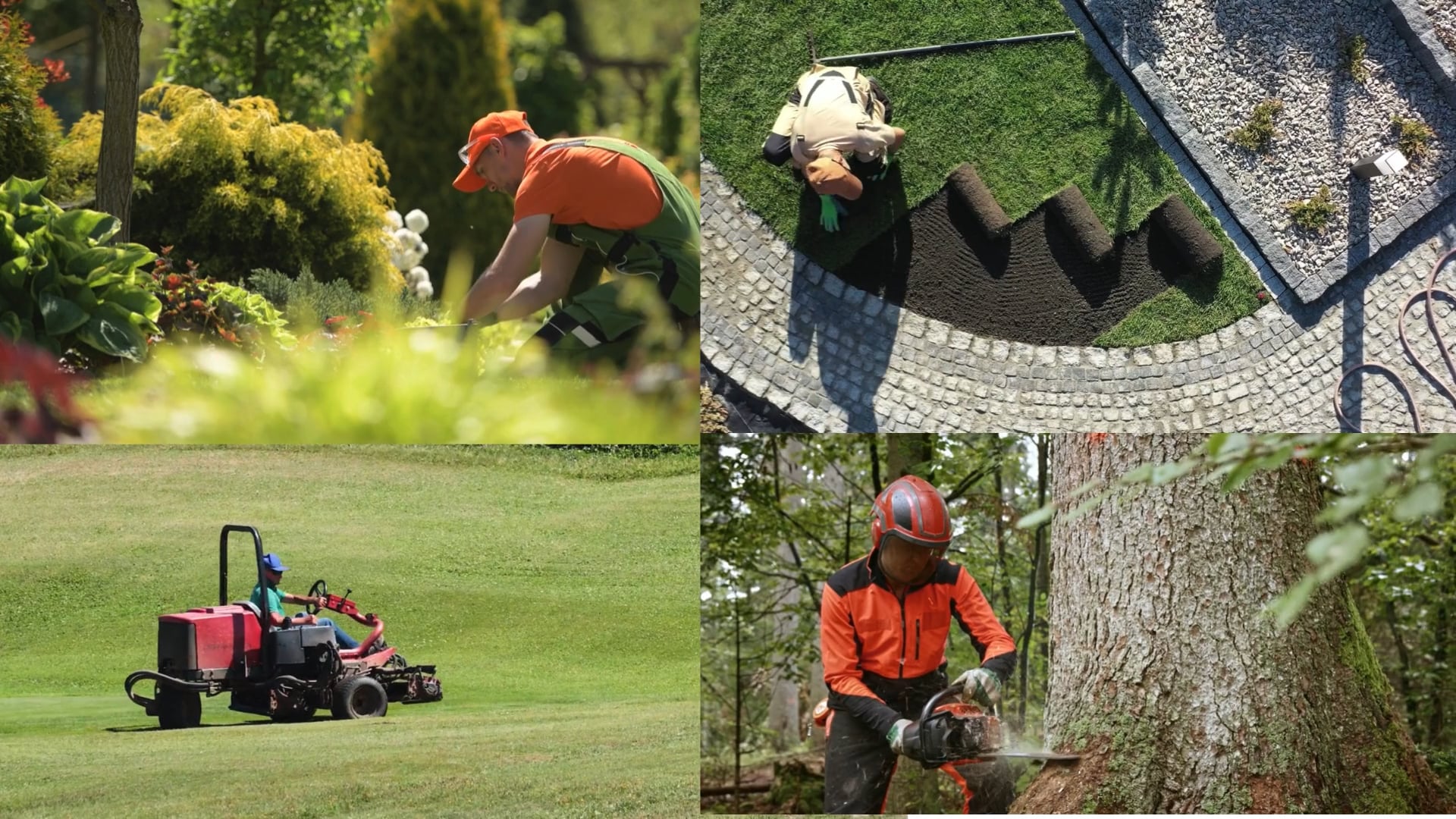 Green Cricket Landscaping