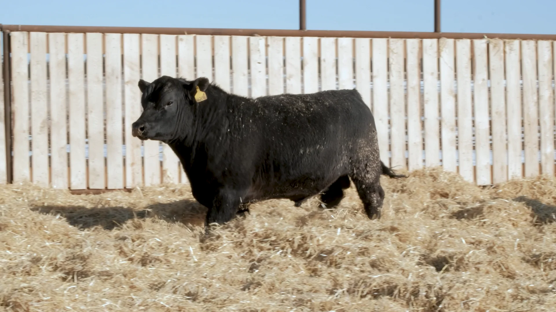 420 David Tschetter.mp4