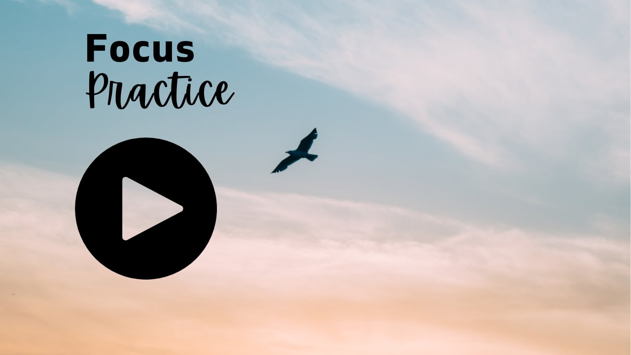 Focus Practice