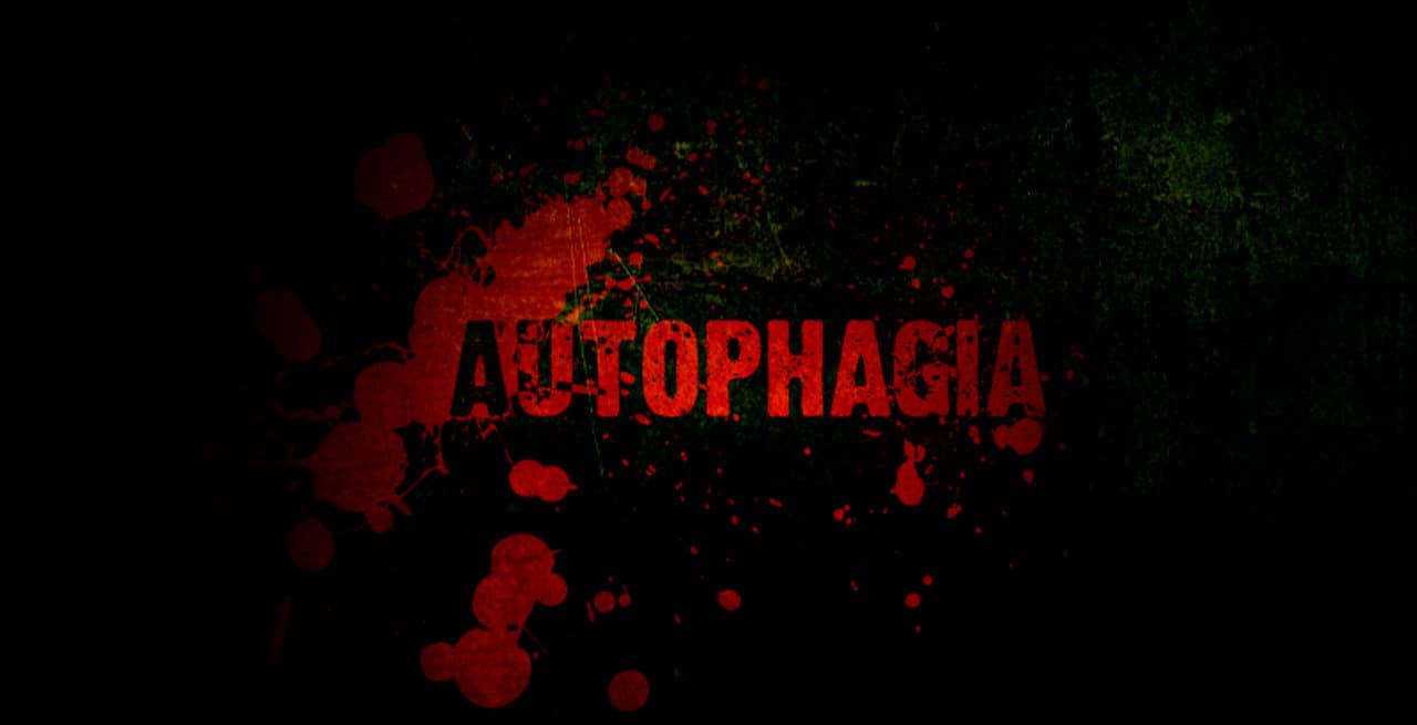 Teaser Autophagia #1 on Vimeo