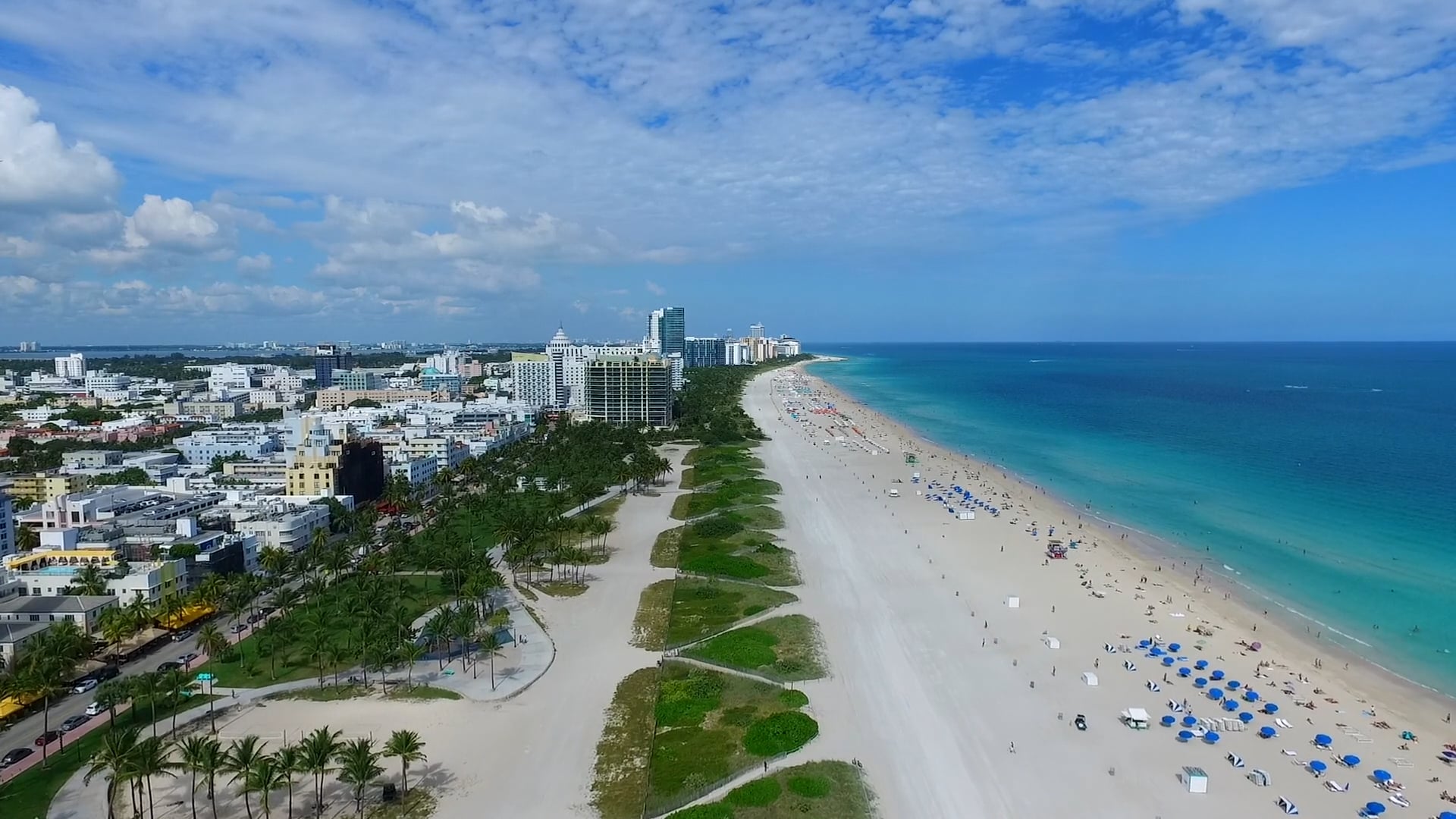 Your Go-To Guide for Delray Beach Activities, Events, etc.
