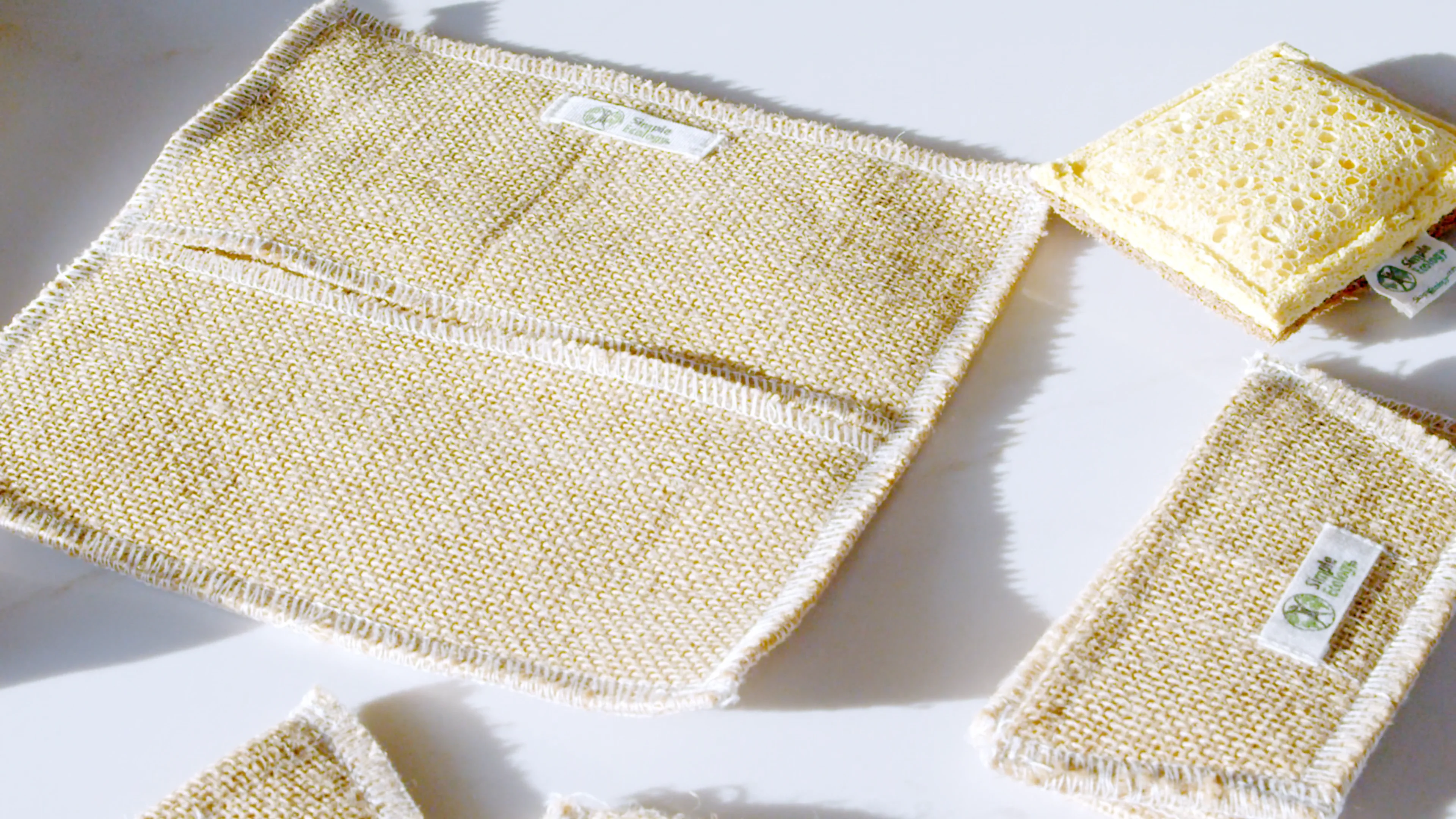 Simple Ecology - March Video 5