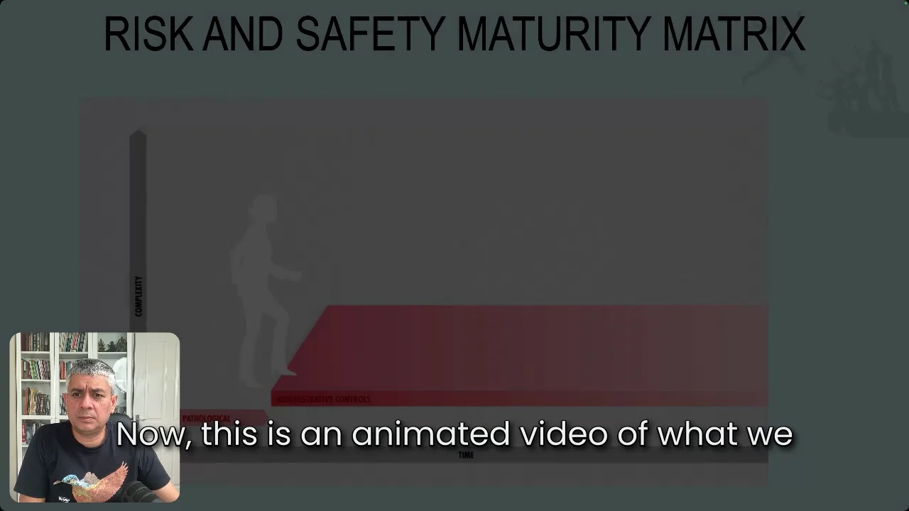 Risk maturity matrix (animation)
