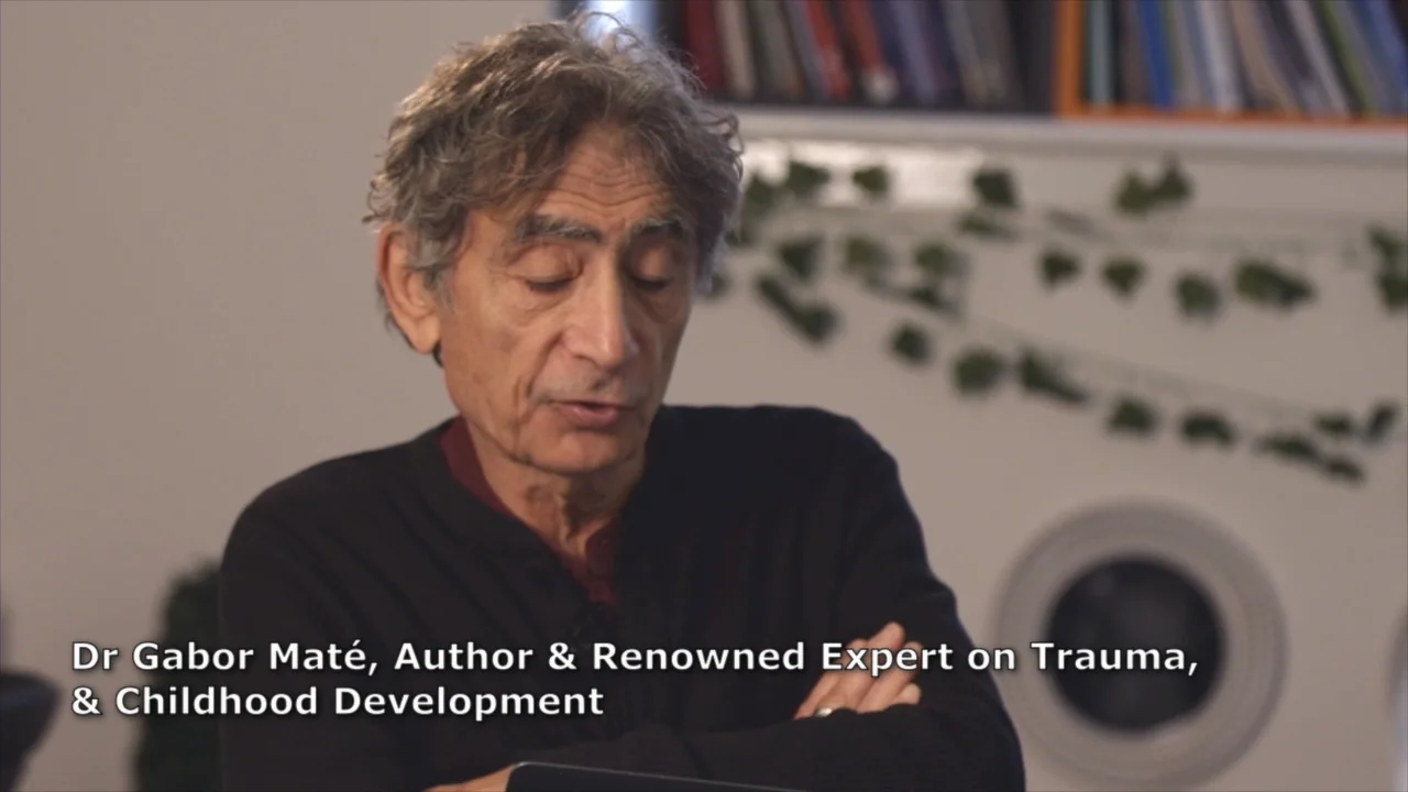 Watch Boarding on Insanity - Feature Documentary 2025 Online | Vimeo On ...