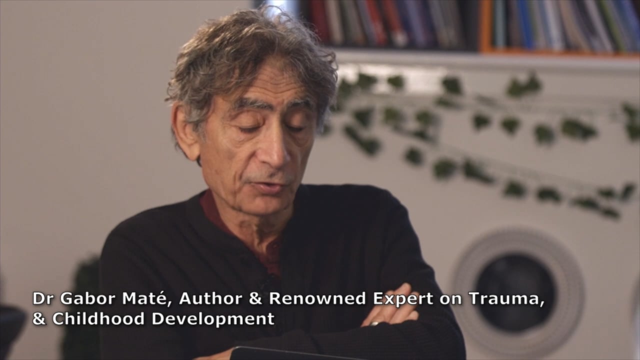 Watch Boarding on Insanity - Feature Documentary 2025 Online | Vimeo On ...