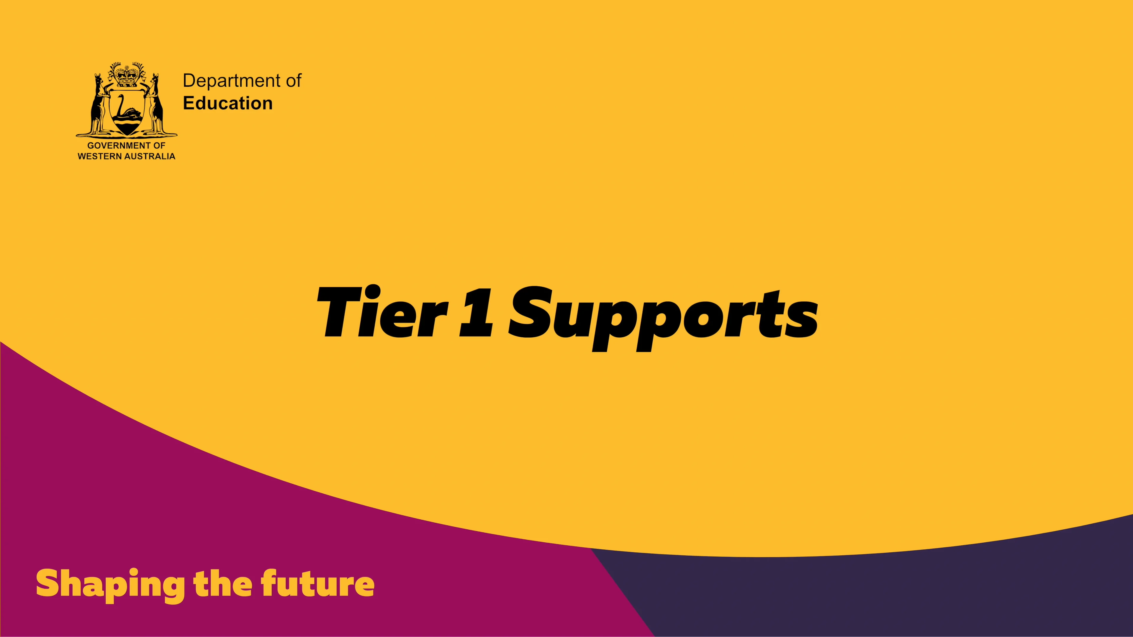 Tier 1 supports_Explainer - 2025