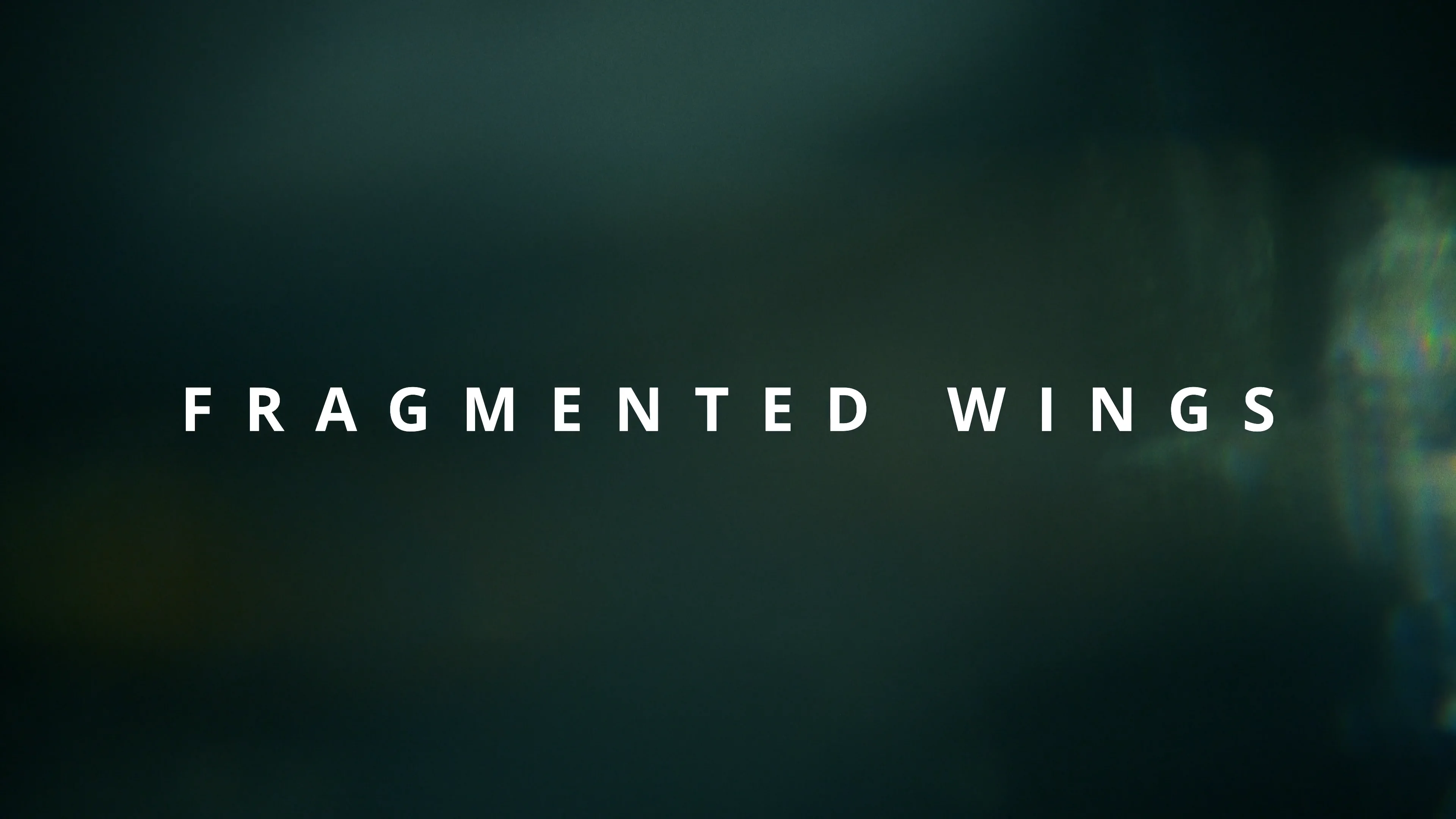 Fragmented Wings