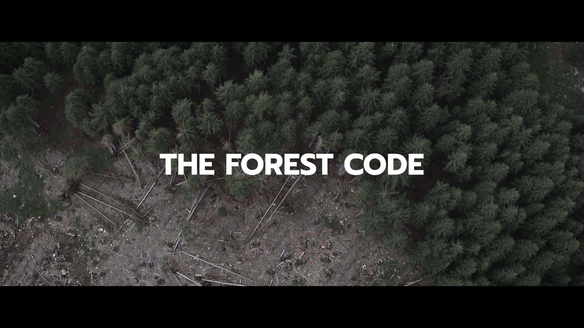 THE FOREST CODE trailer 2025