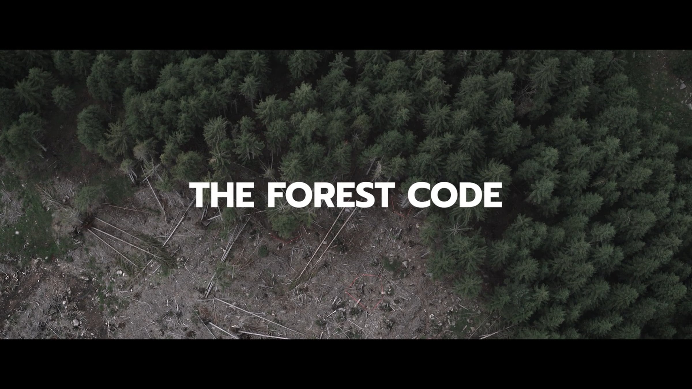 THE FOREST CODE trailer 2025