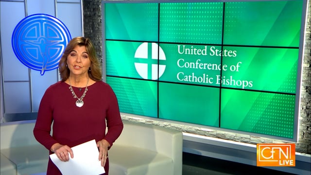 Catholic Faith Network on Vimeo
