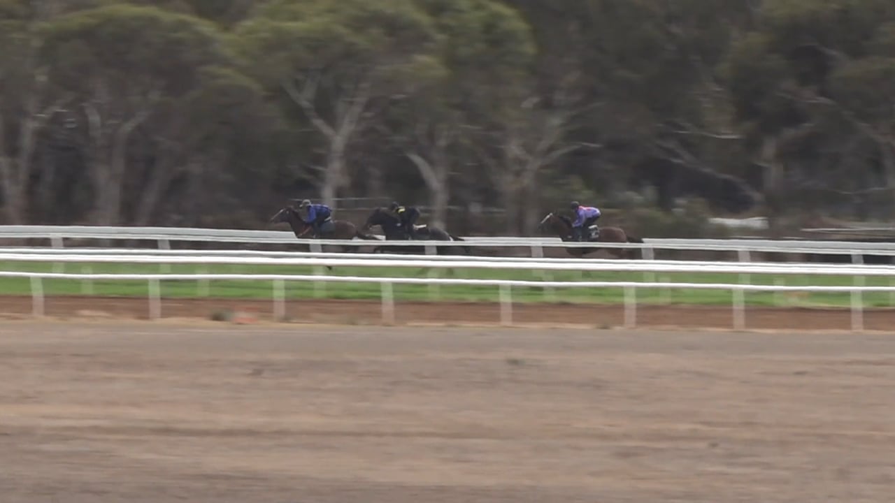 13/03/25 Strathalbyn • Racing SA