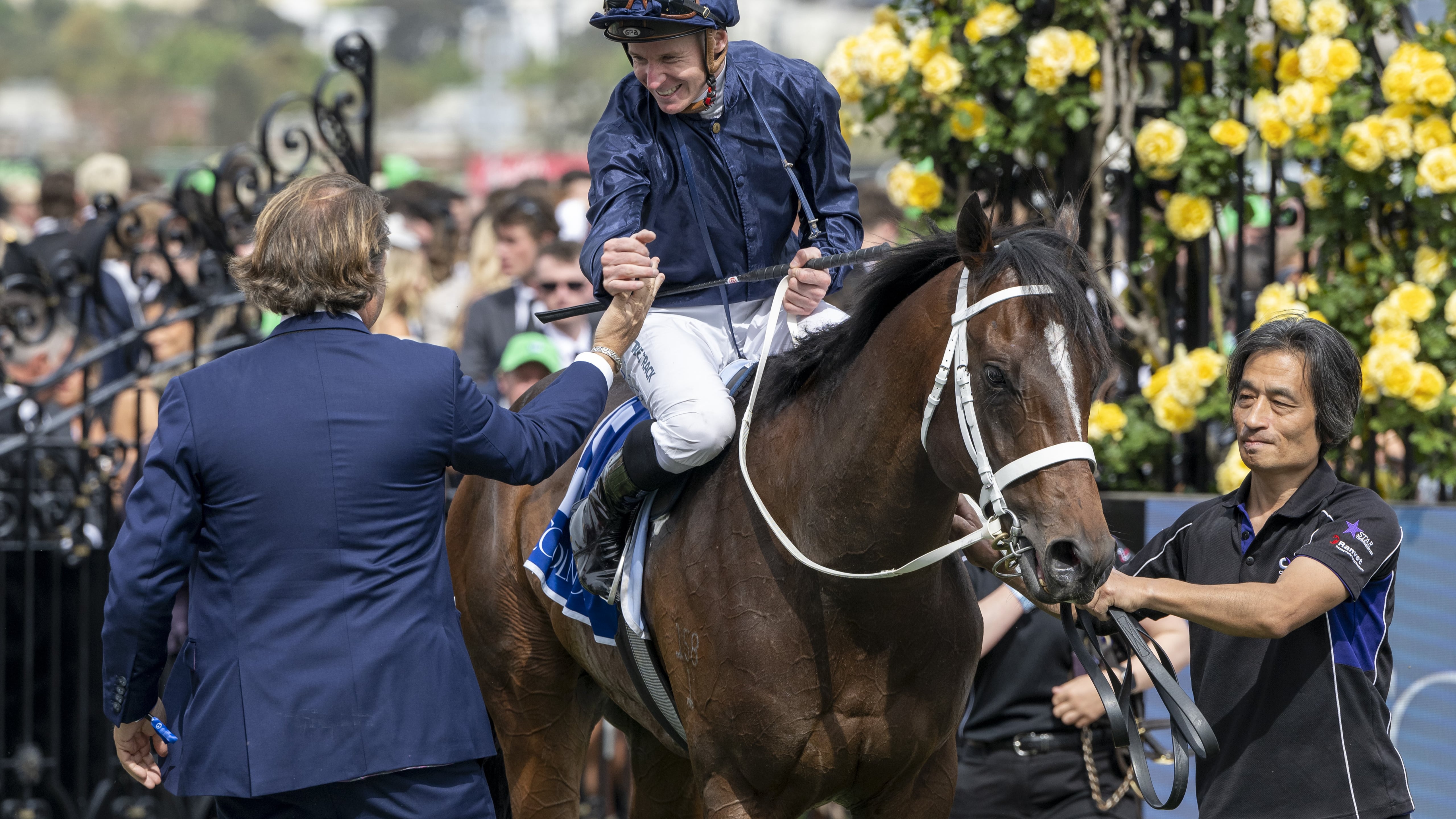 Inglis TV - 2025 Inglis Easter Yearling Sale on Vimeo