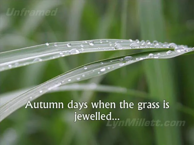 Autumn Days Song and lyrics